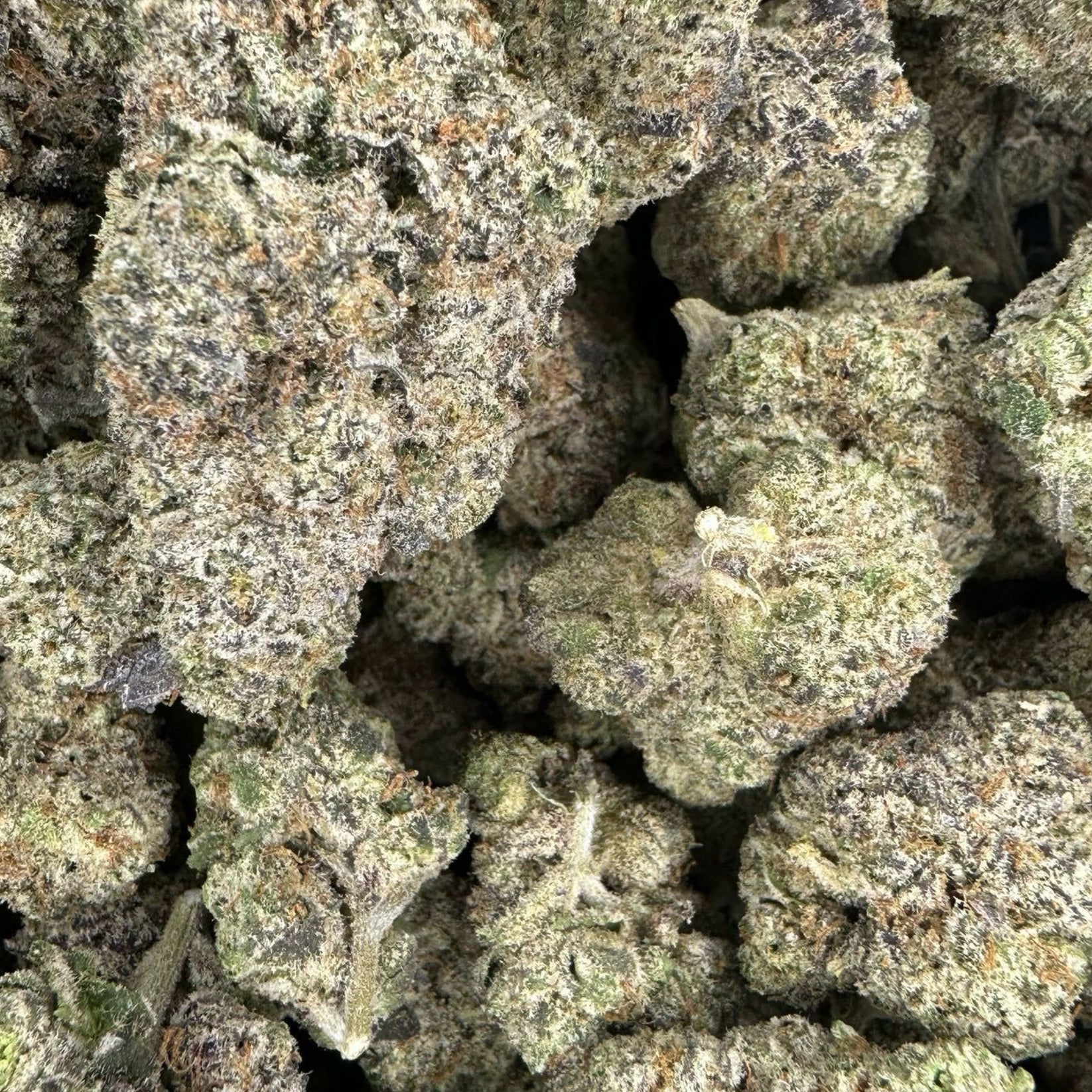 THCa Flower | Bubblegum Gelato Exotic – The Weed Box
