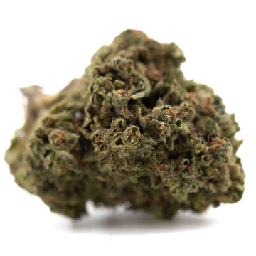 Shop THCa Flower – The Weed Box