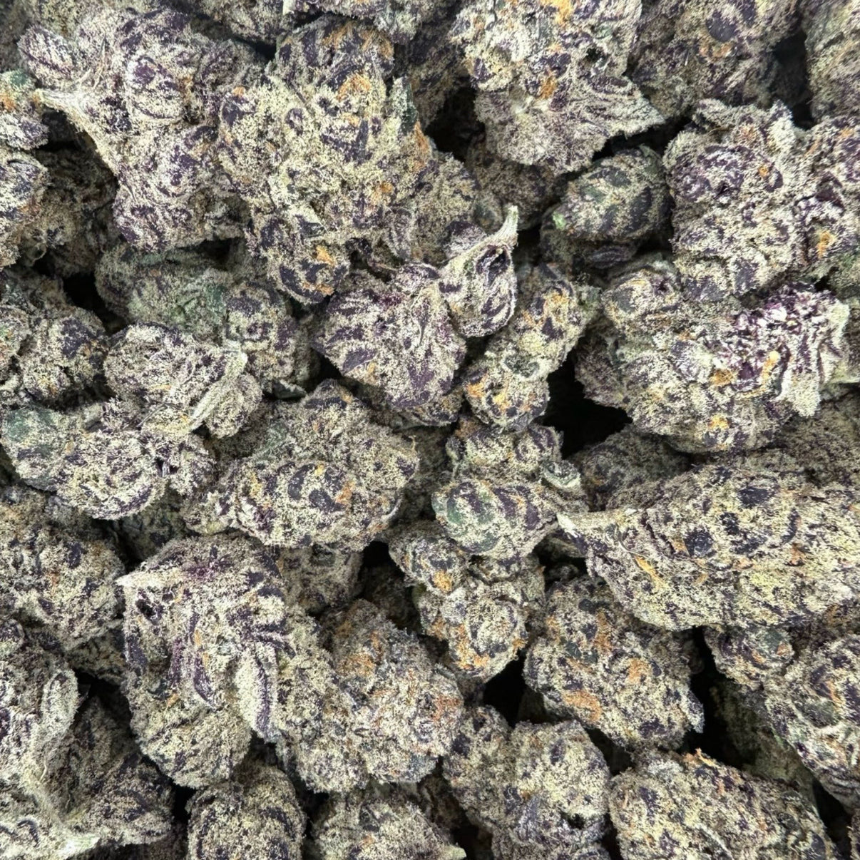 THCa Flower | Blue Dream Exotic – The Weed Box