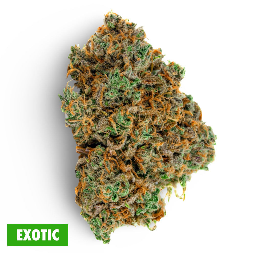 THCa Pre-Roll | Blue Dream Exotic – The Weed Box