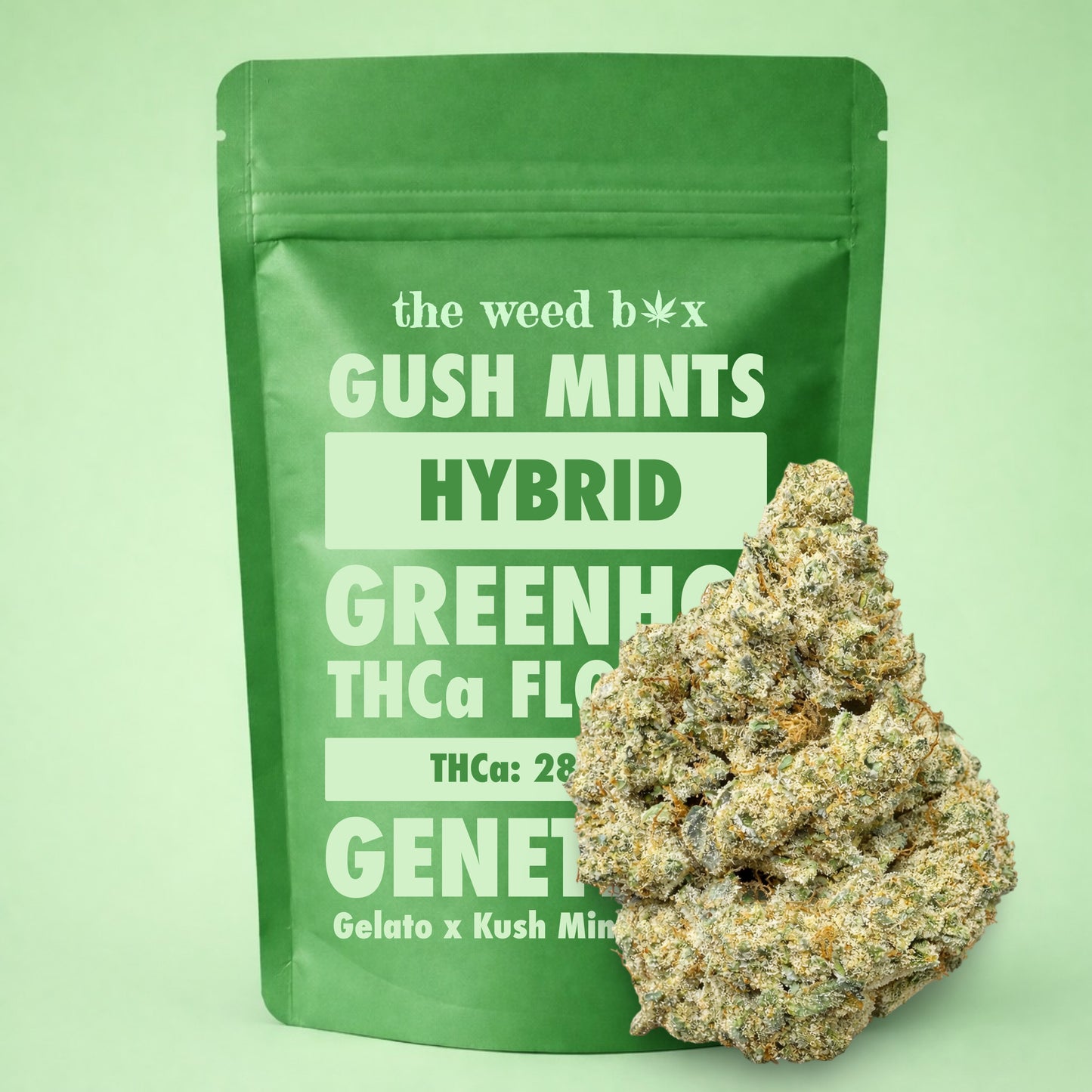 THCa Flower | Gush Mintz 28g – The Weed Box